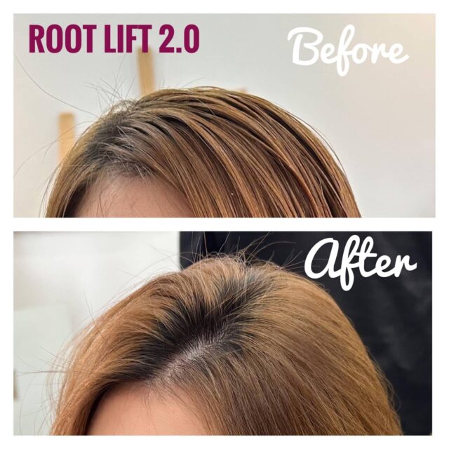 Root Perm | Picasso Hair Studio